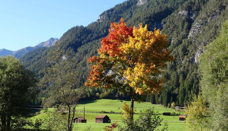 Tirolo - il portale per le vacanze in Tirolo, Austria